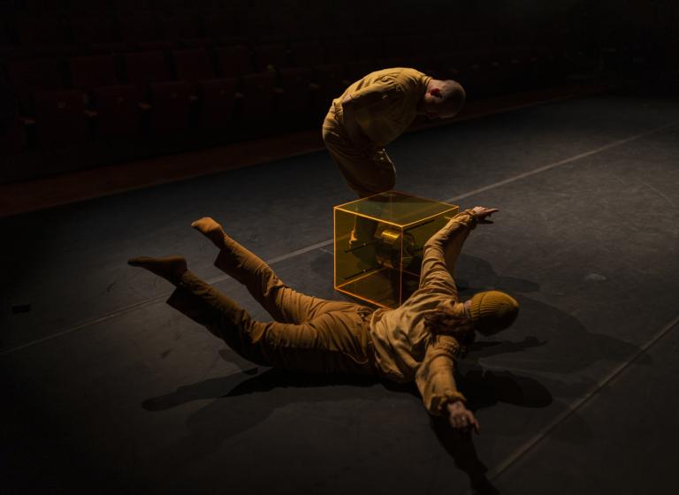 FARLIGA FISKAR | Skånes Dansteater